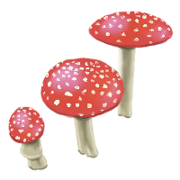 Here's a map of Bay Area's coolest mushrooms this winter